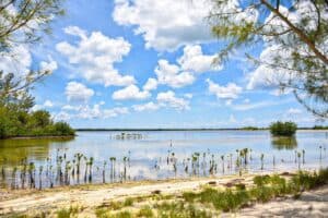 Passion Island Cozumel: Discover the Magic of this Paradise