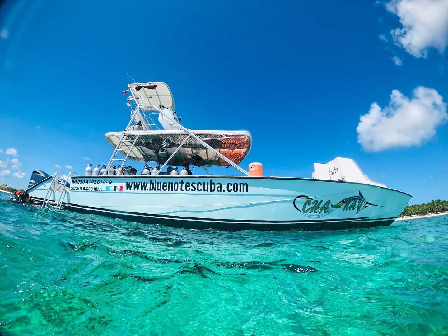 The Ultimate Oceanic Adventure: Cozumel Dive Shops Uncovered